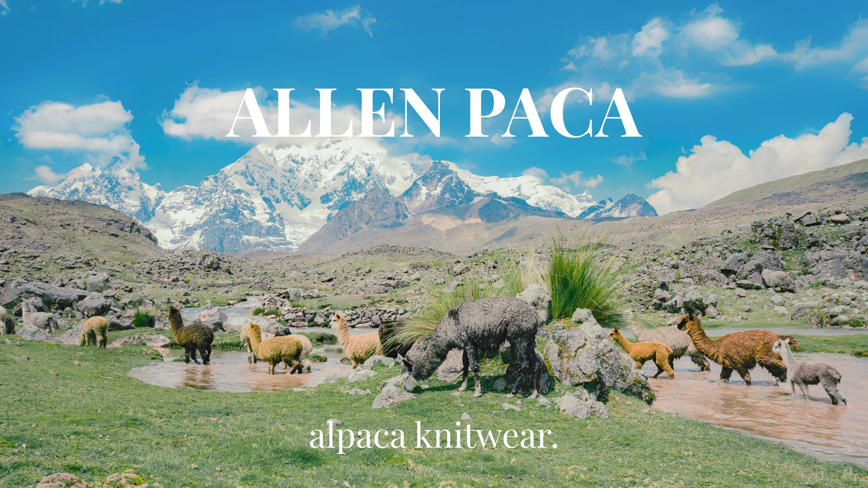 Allen Paca - Sustainable Alpaca Apparel-Luxury Alpaca Clothing